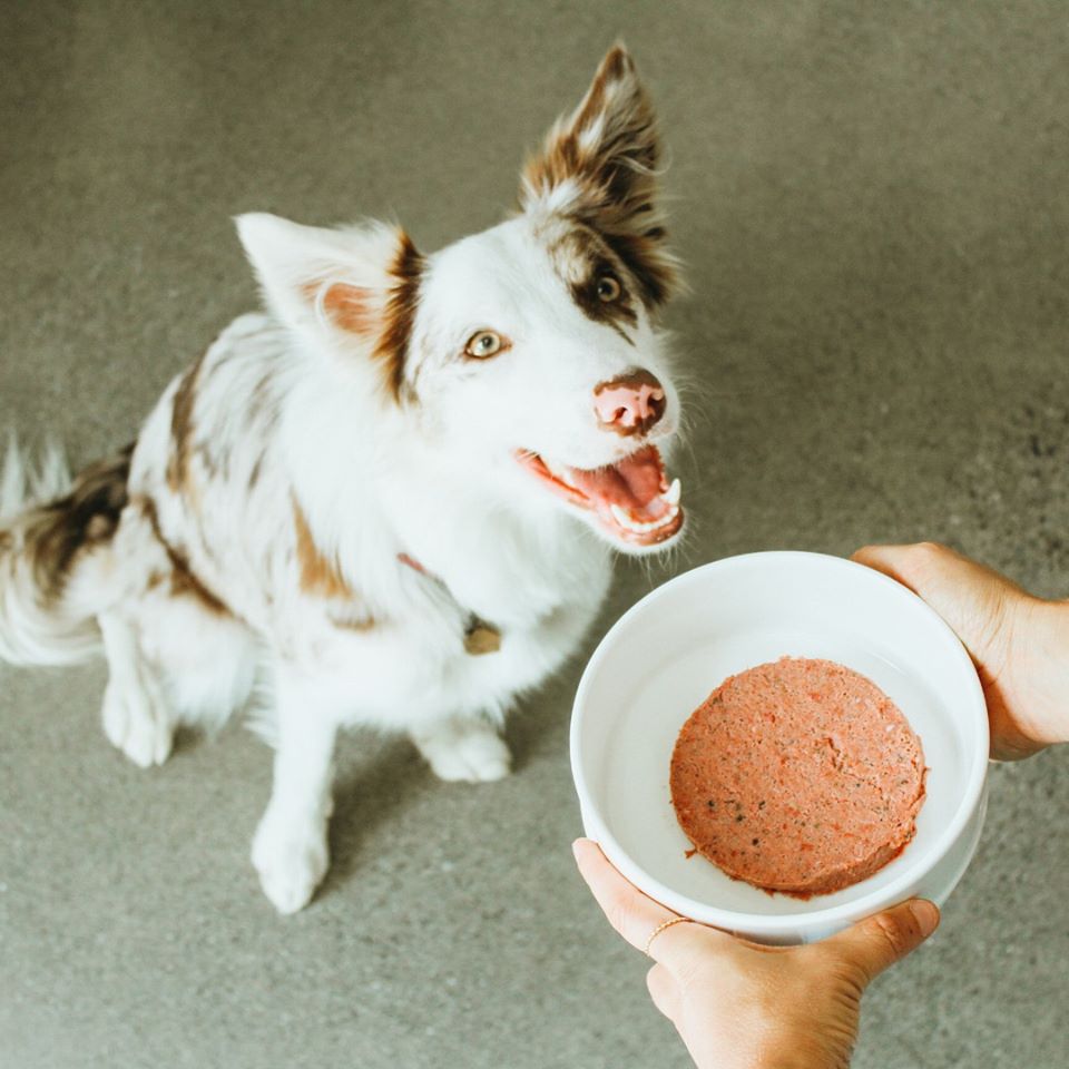 Raw Chicken & Cranberry Food for Dogs | Faim Museau