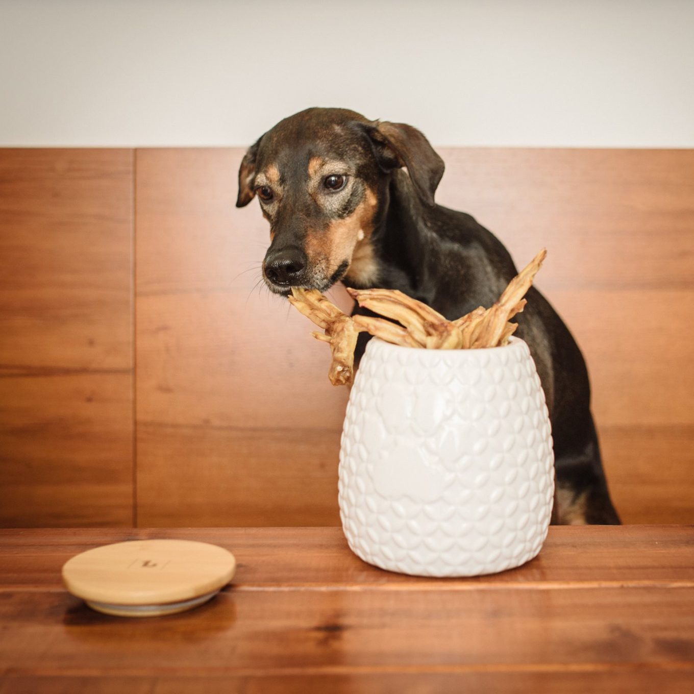 Dehydrated Raw Duck Feet for Dogs | Dog Treats | Faim Museau