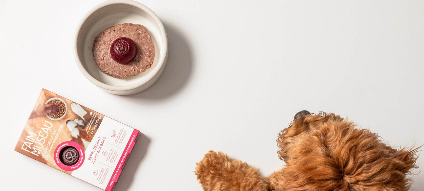 Viande crue pour Chiens et Chats | Fait au Québec | Faim Museau